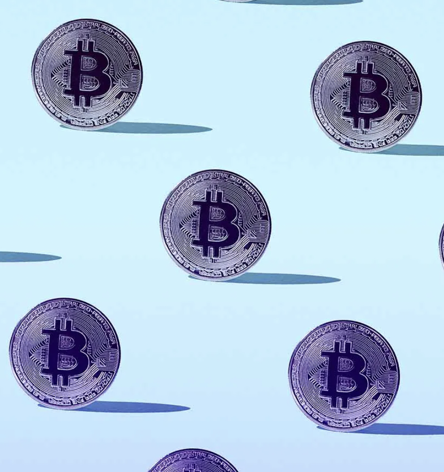 Portfolio – Casey Wagner